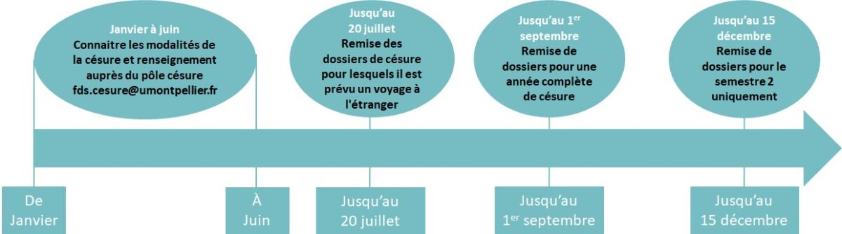 La césure - Faculté des sciences