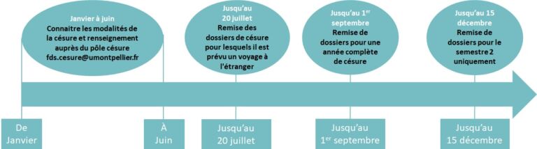 La césure - Faculté des sciences