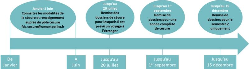 La césure - Faculté des sciences